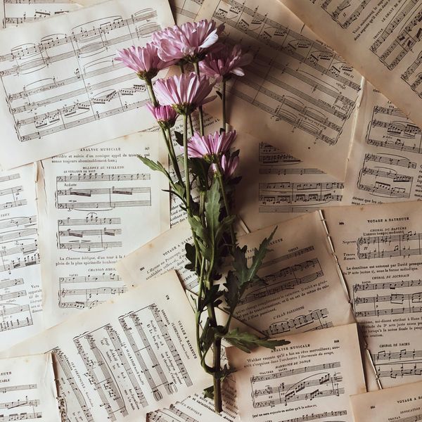 The Music of Laura Sullivan