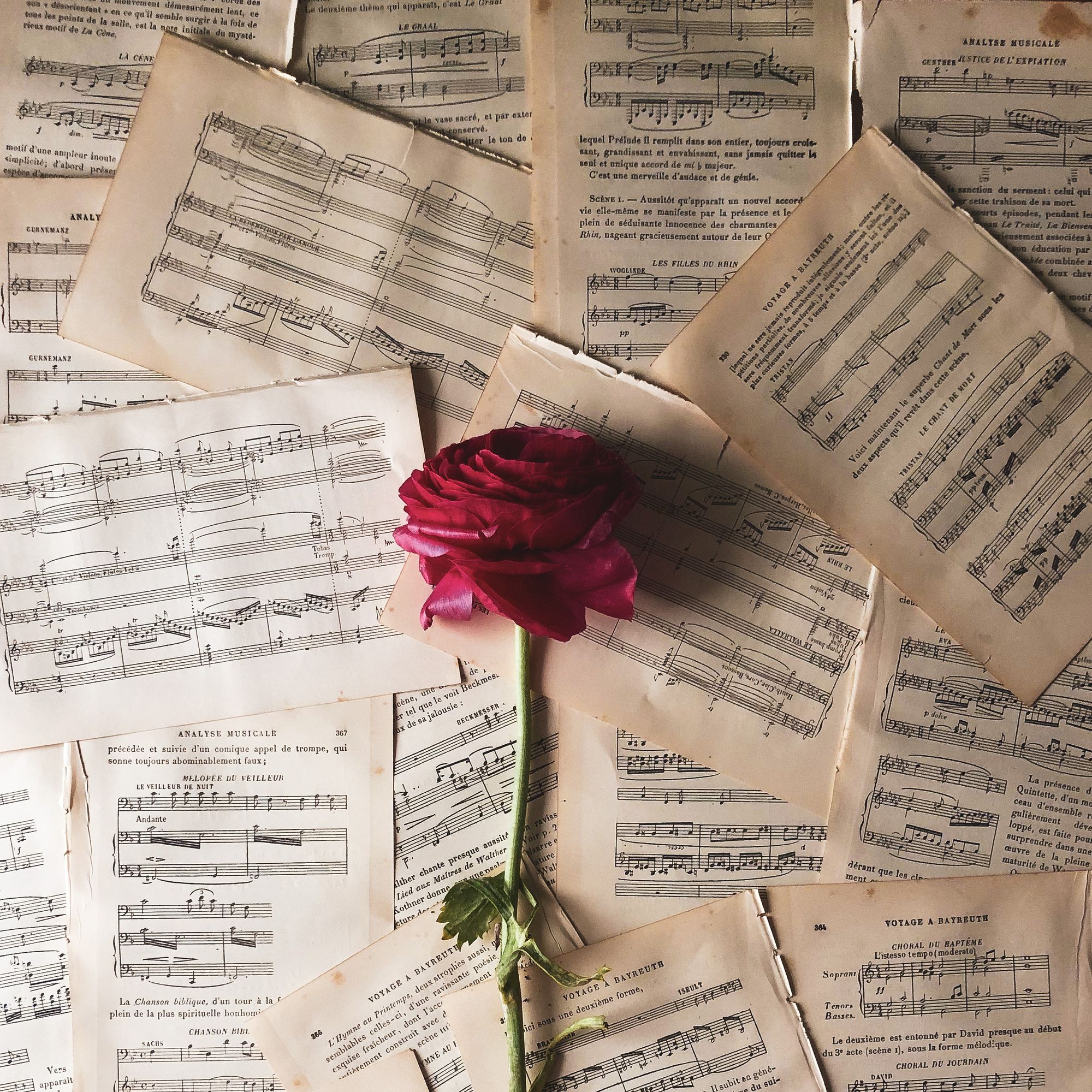 The Music of Laura Sullivan