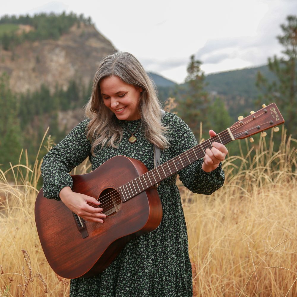 Layer Cake Mountain - The Band