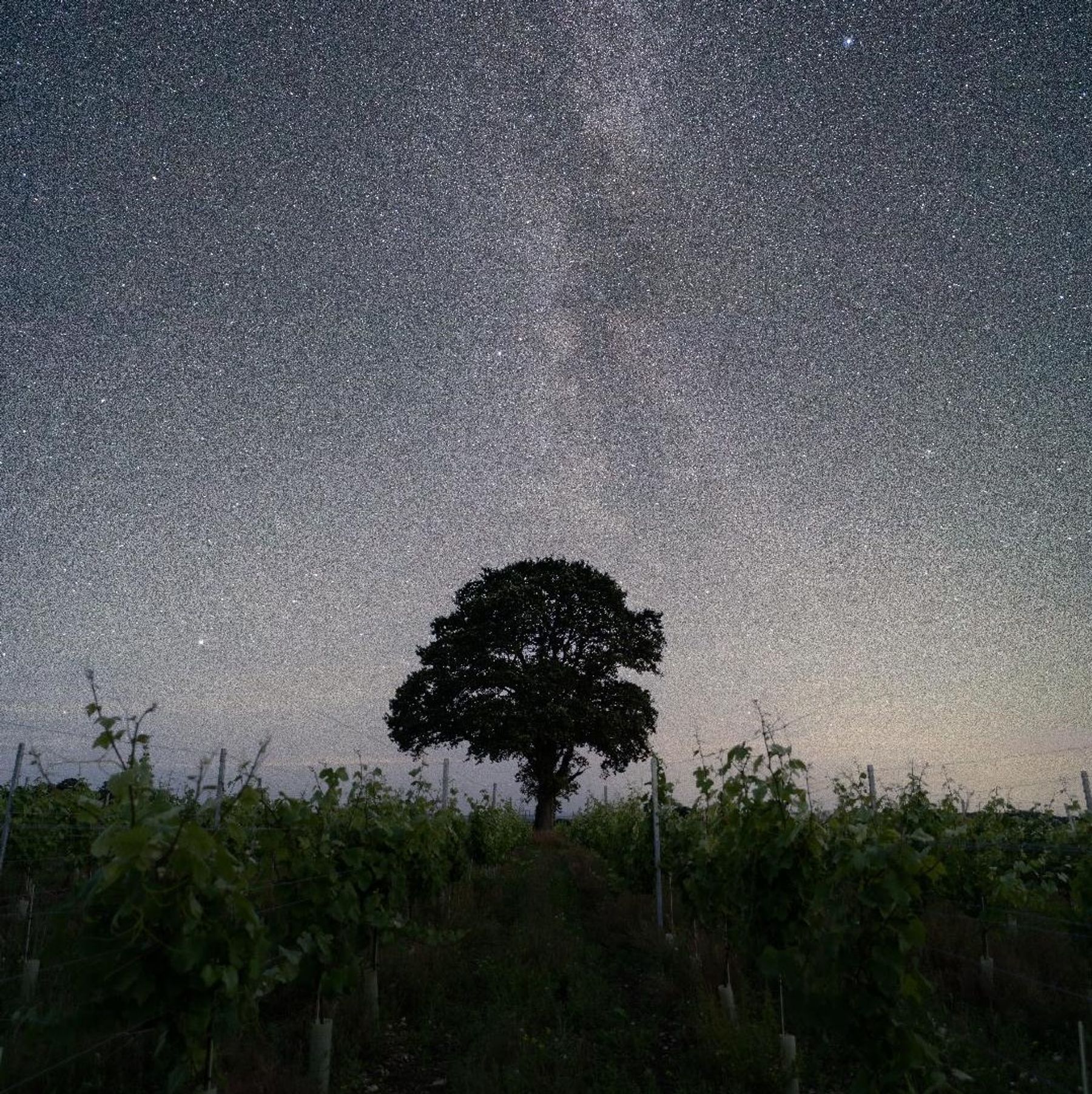 Richard Laurence - Meet The Community