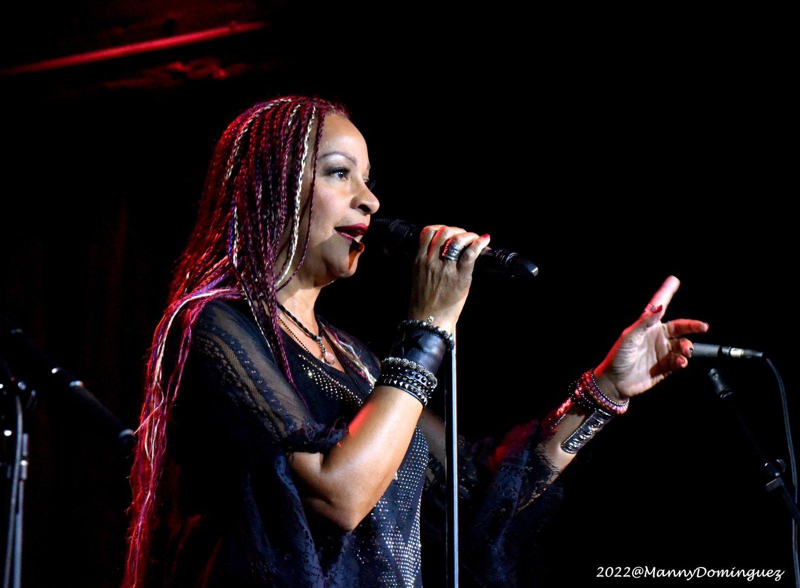 The Tina Turner Tribute by Debby Holiday - Photos