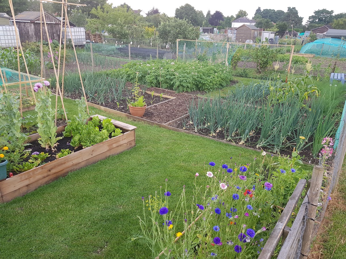 Pocklington Allotments - Committee