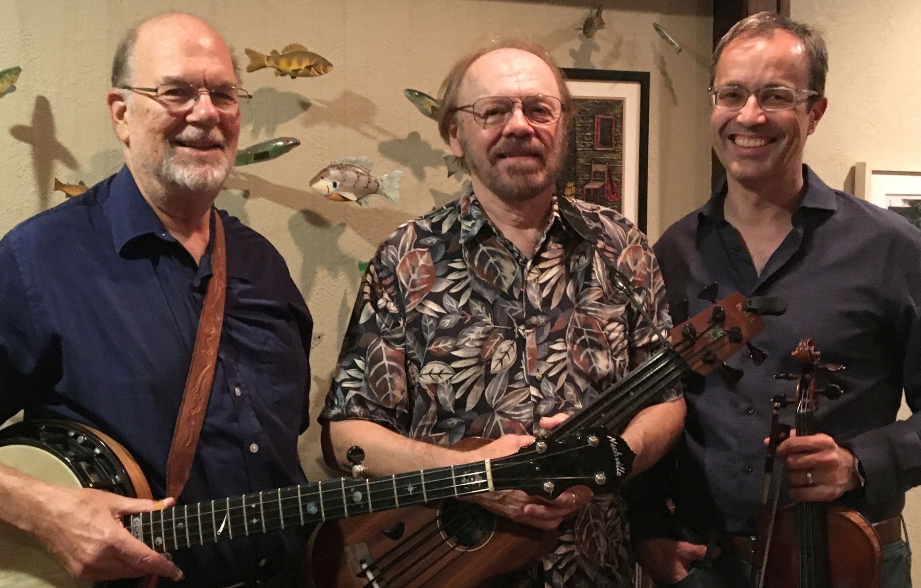 The Eclectics - Shows