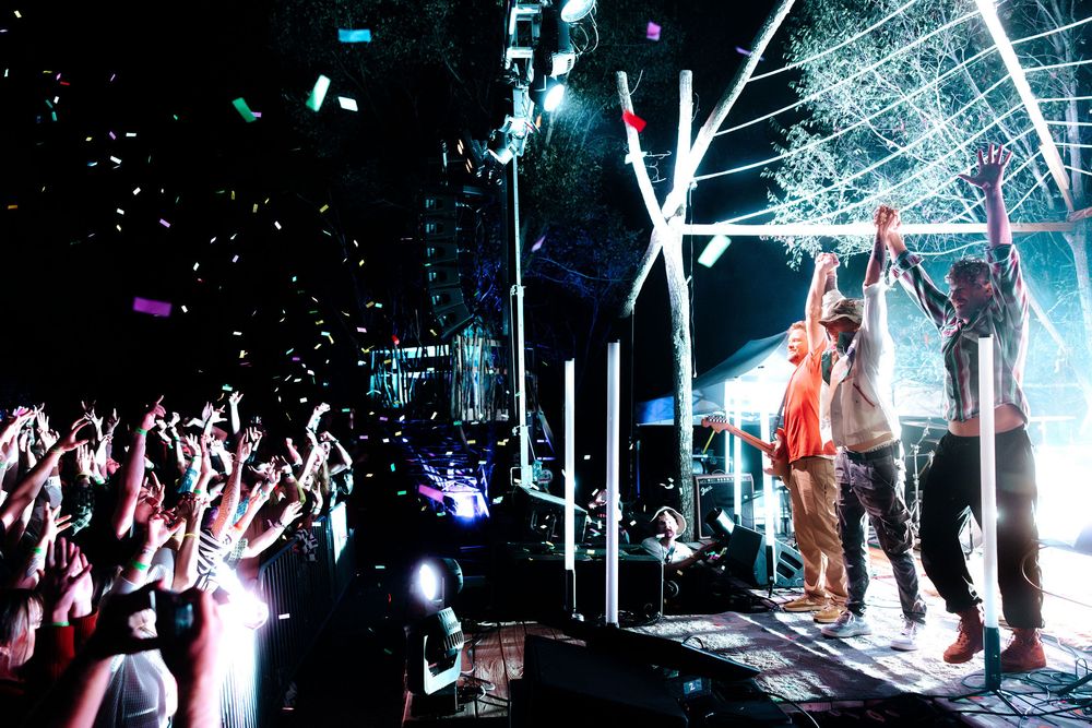 Salt Fox - Press Kit