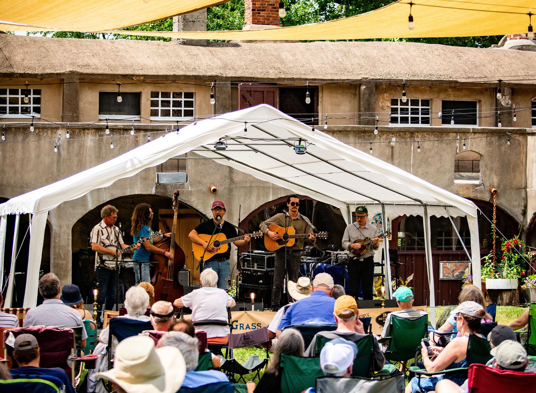 Wood Flower Bluegrass