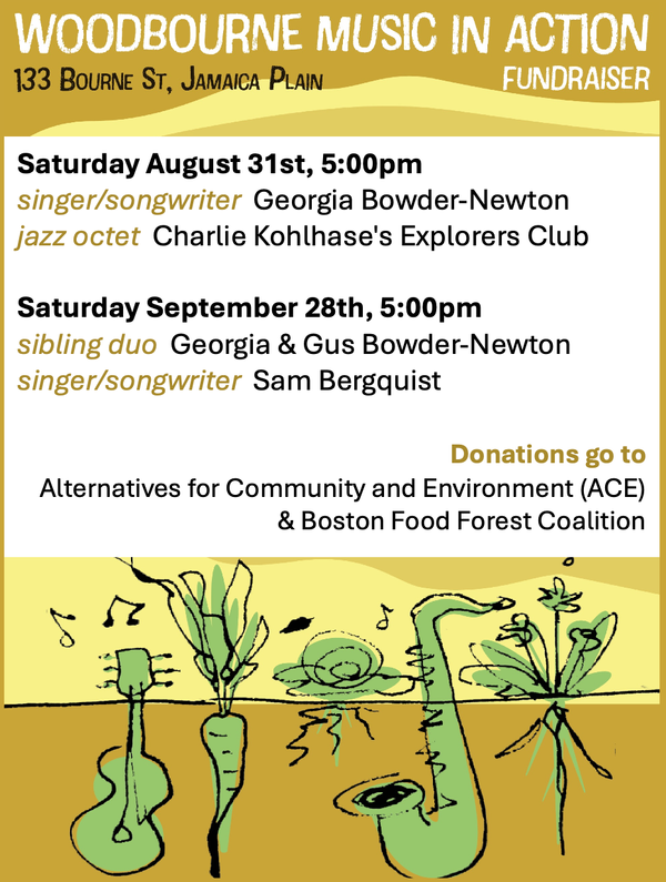 Sam Bergquist - Shows