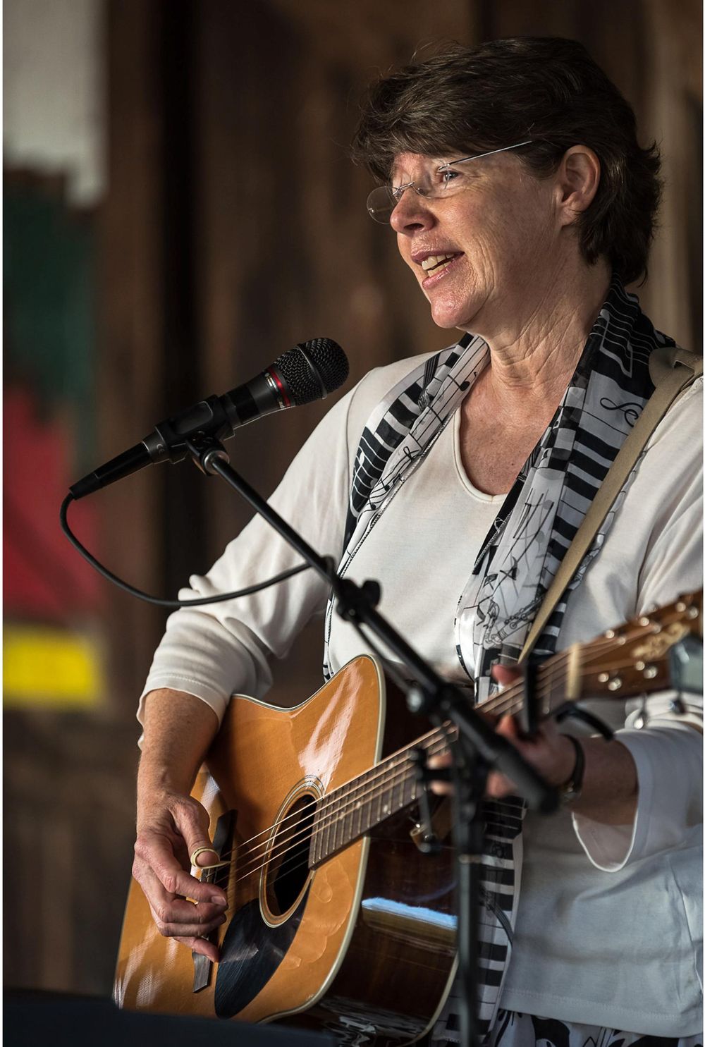 Ann Zimmerman, singer-songwriter - Photos