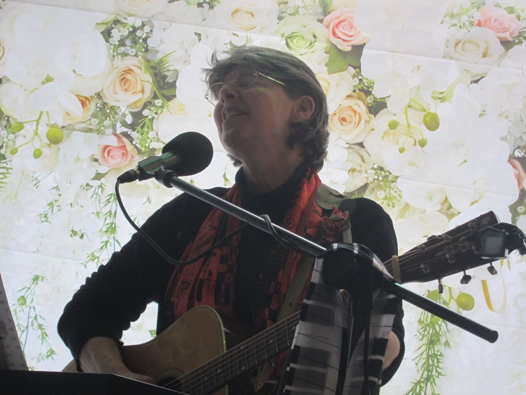 Ann Zimmerman, singer-songwriter