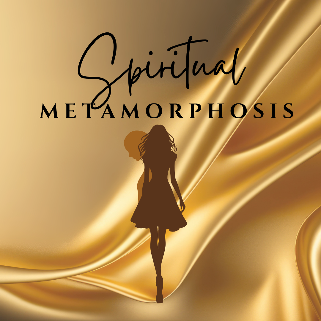 Widow I Go From Here - Shop