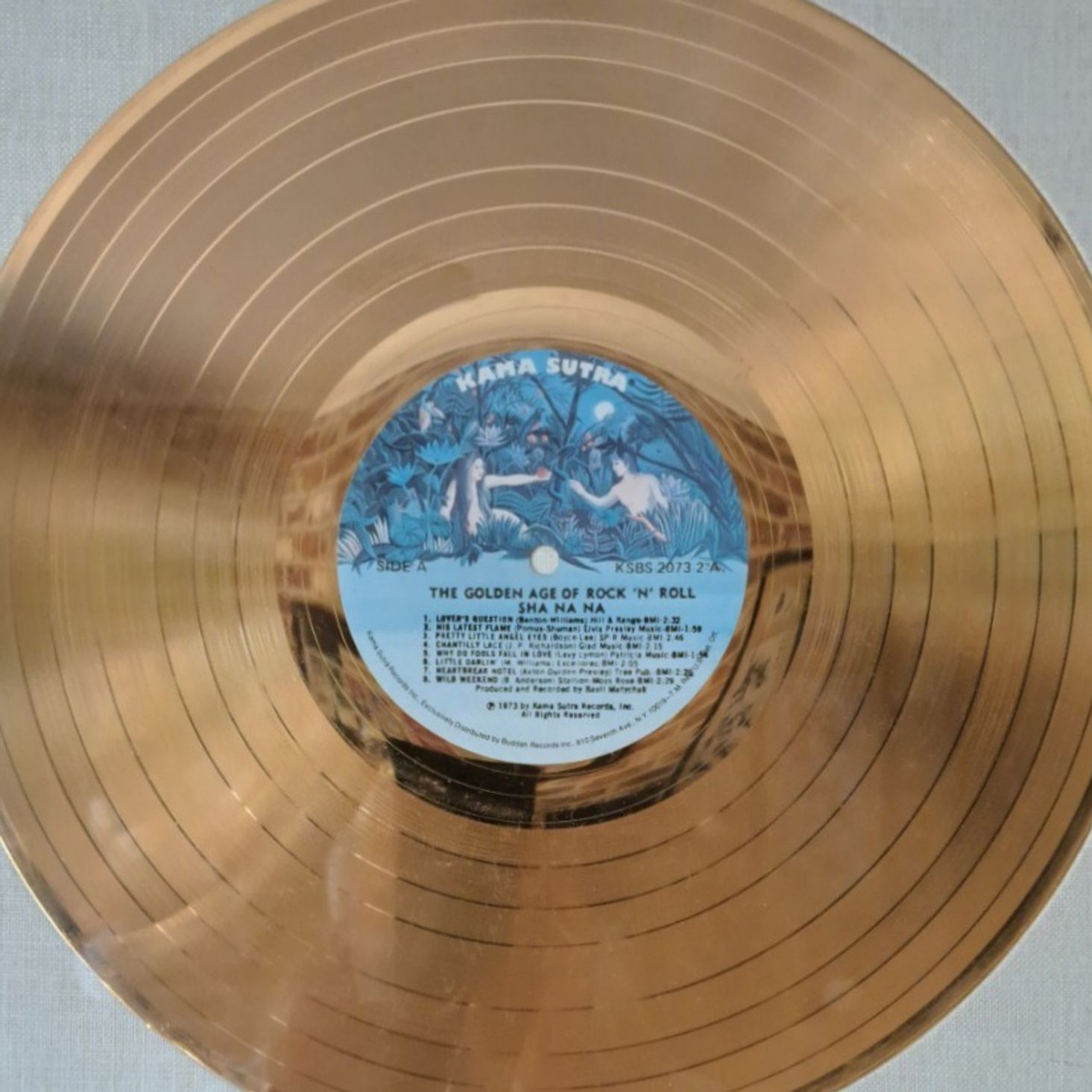 Johnny Contardo - About