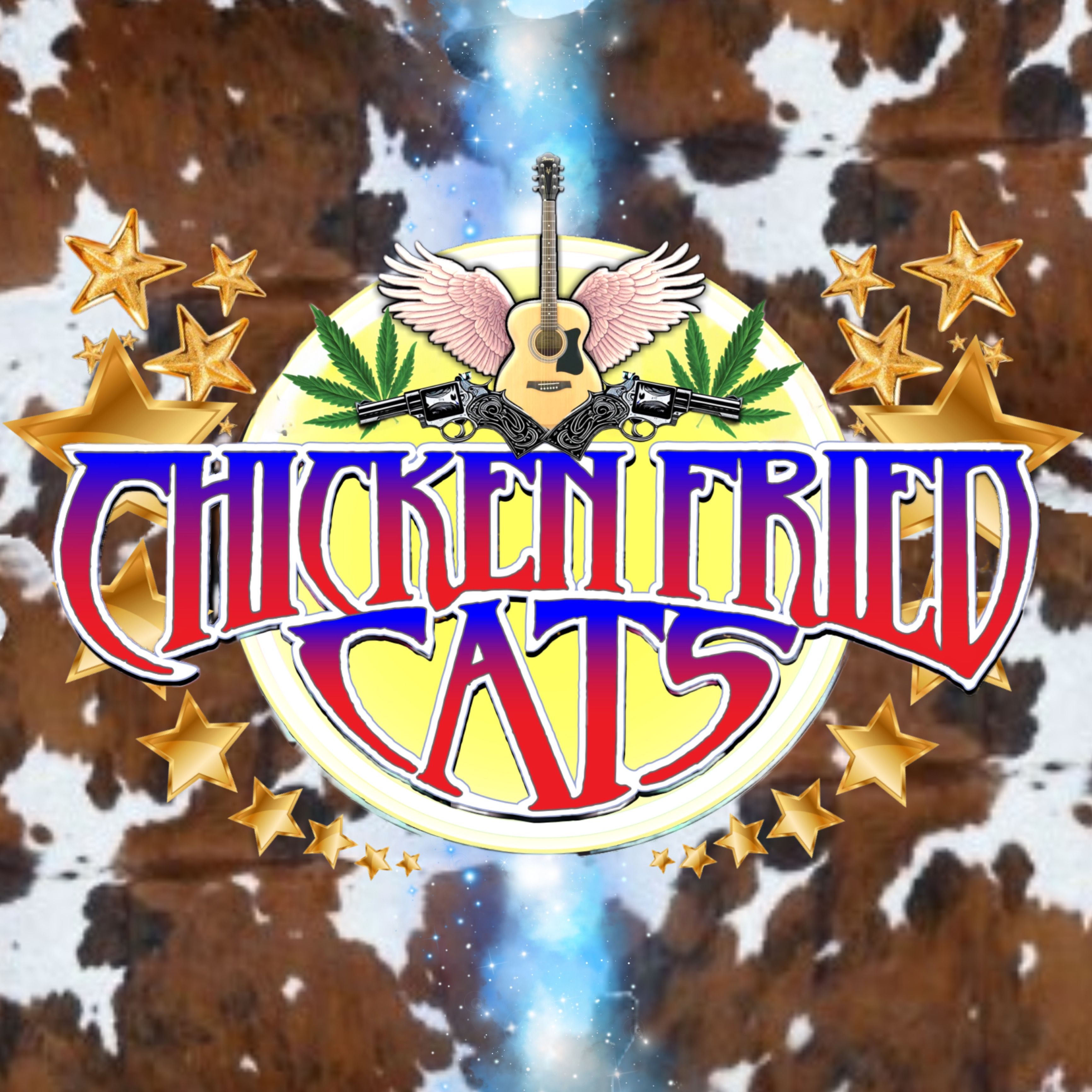 Chicken Fried Cats - Shows