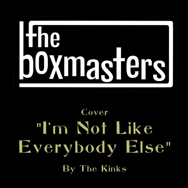 The Boxmasters - Store