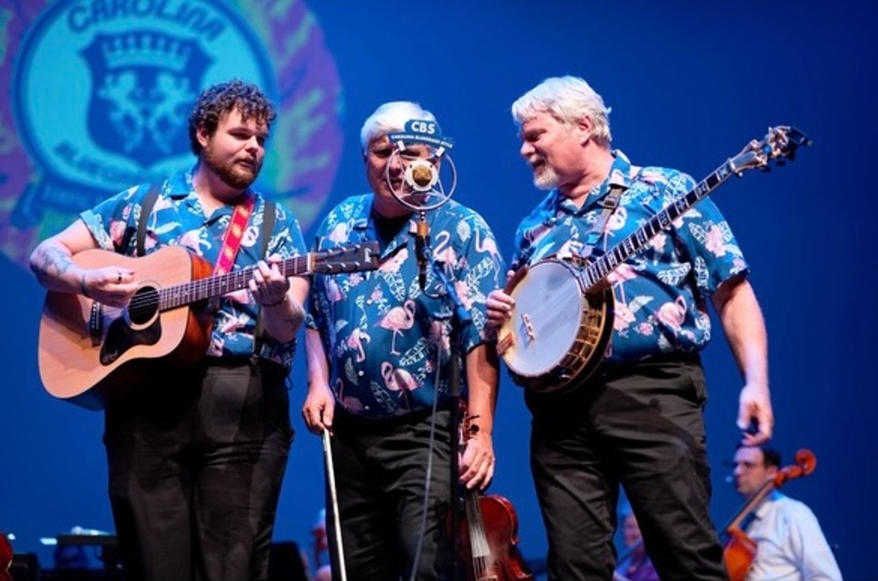 Carolina Bluegrass Style