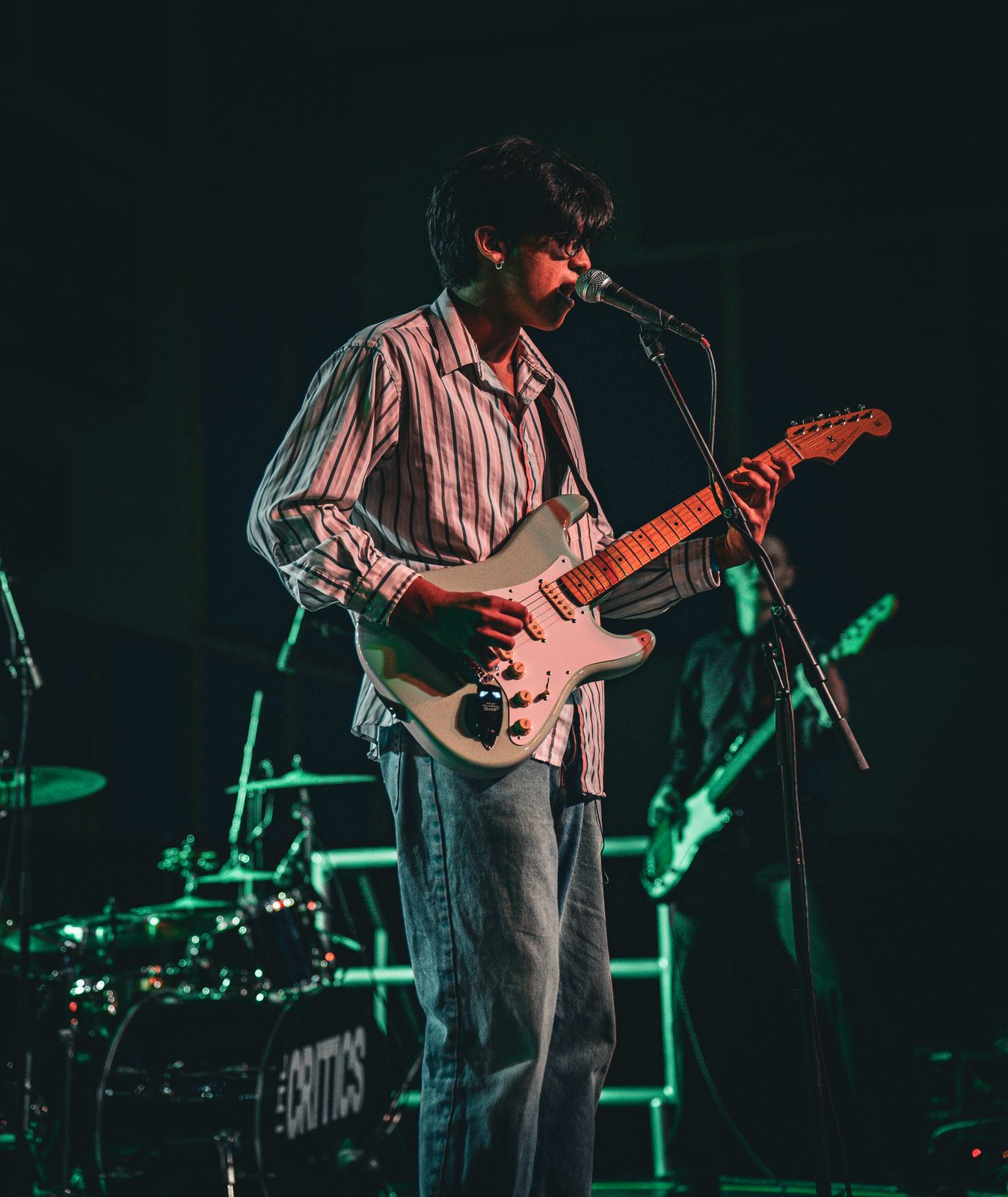 The Critics - Meet The Band