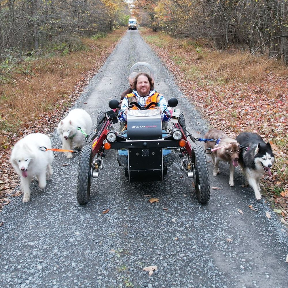 DogMotoSports - Sports