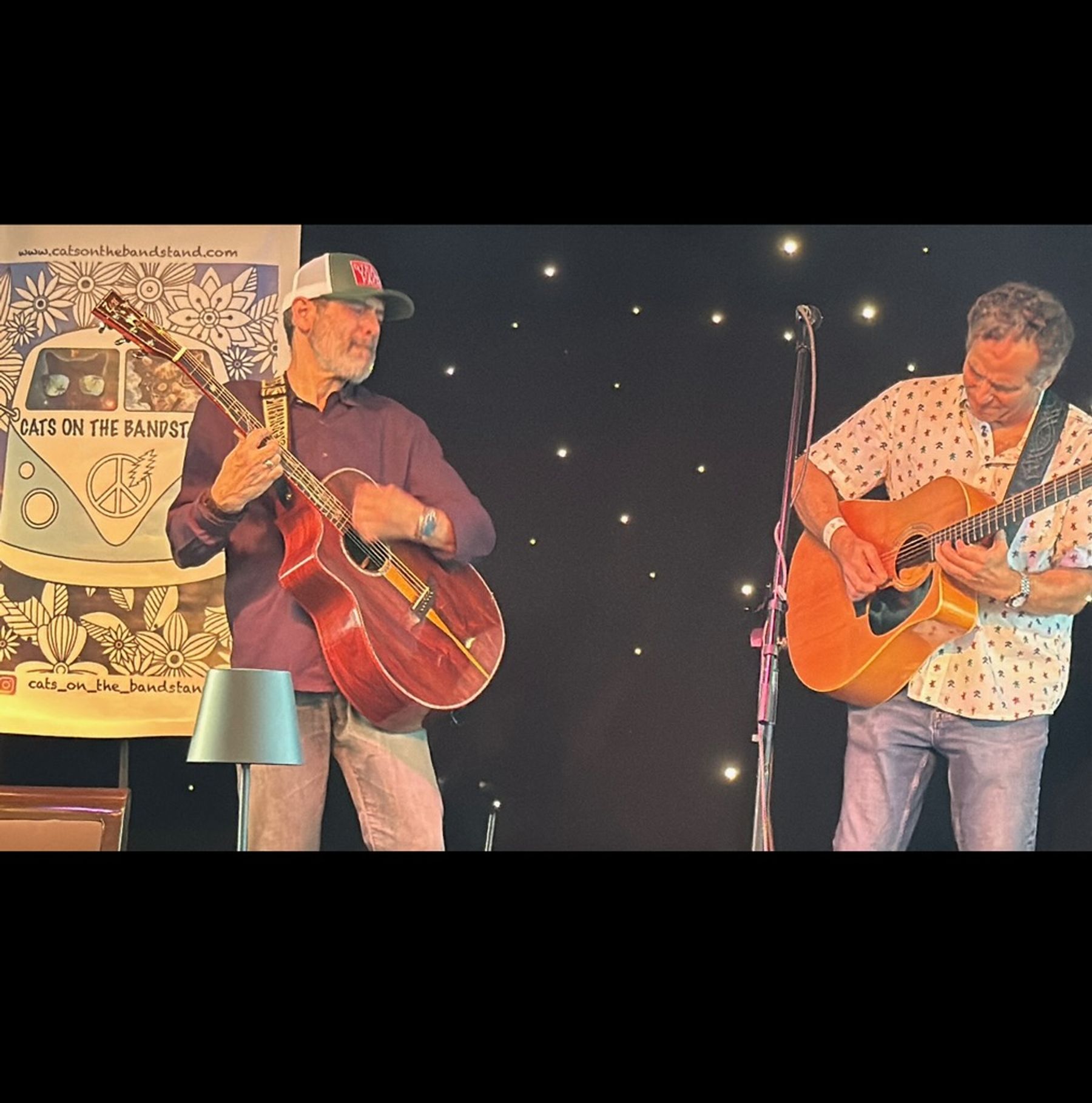 Cats on the Bandstand