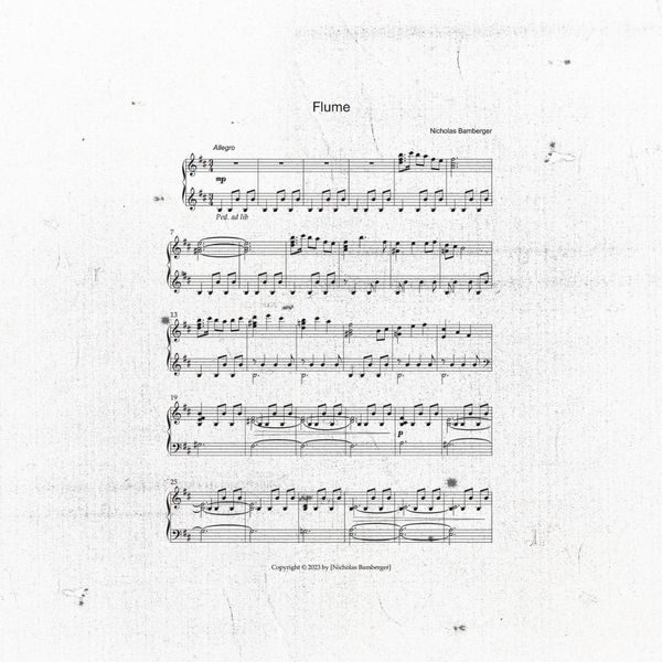Nicholas Bamberger - Store