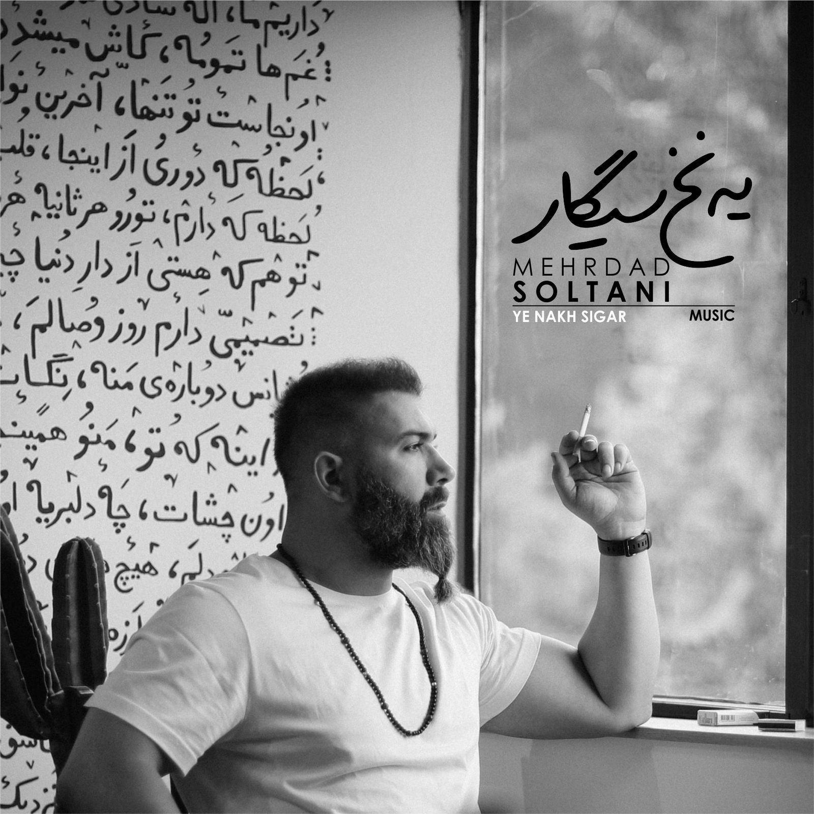 Mehrdad Soltani - Photos