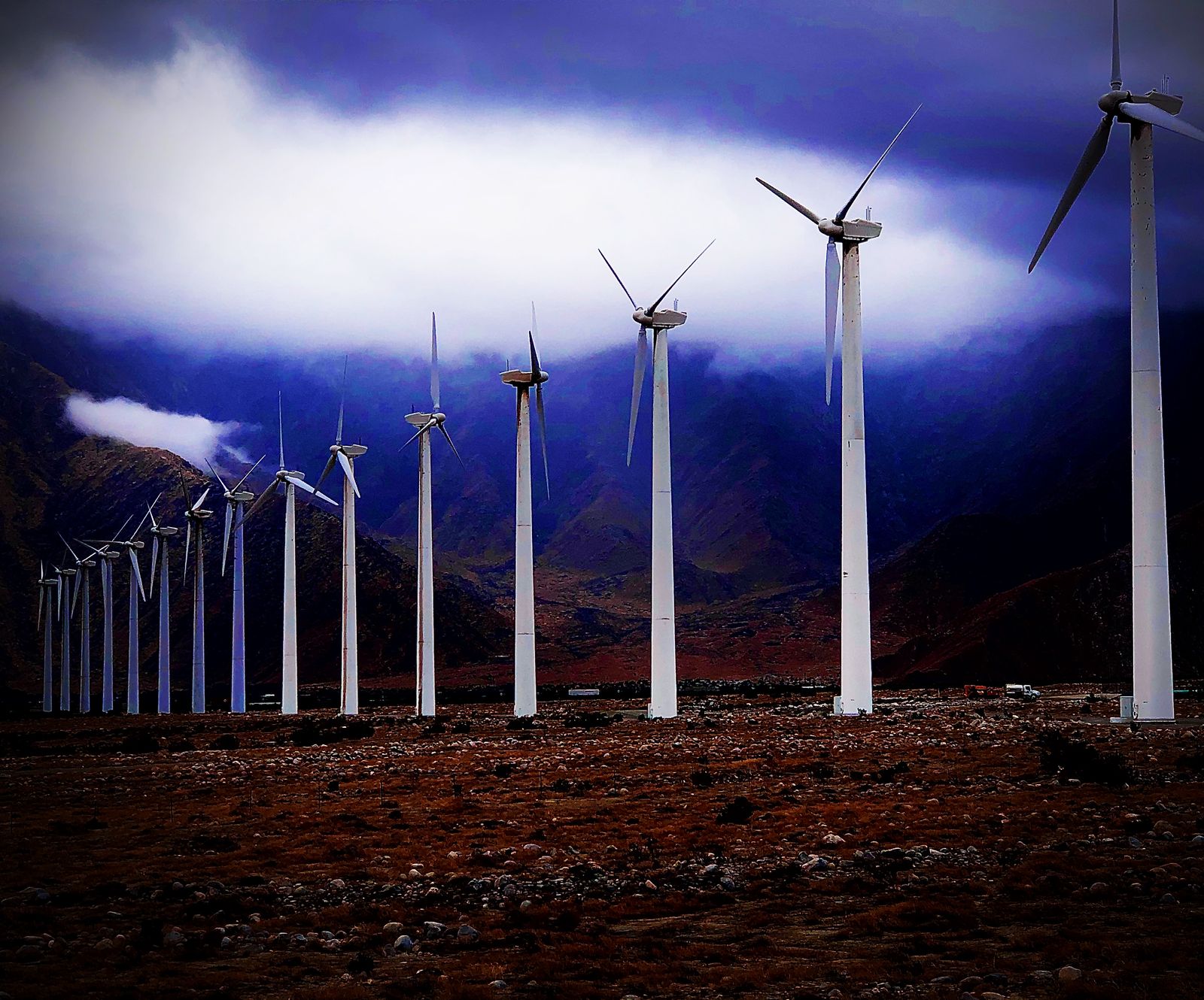 Michael Lille - Photos