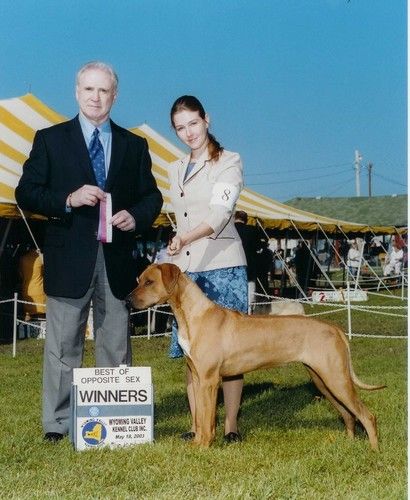 Najahari Rhodesian Ridgebacks - Our Dogs