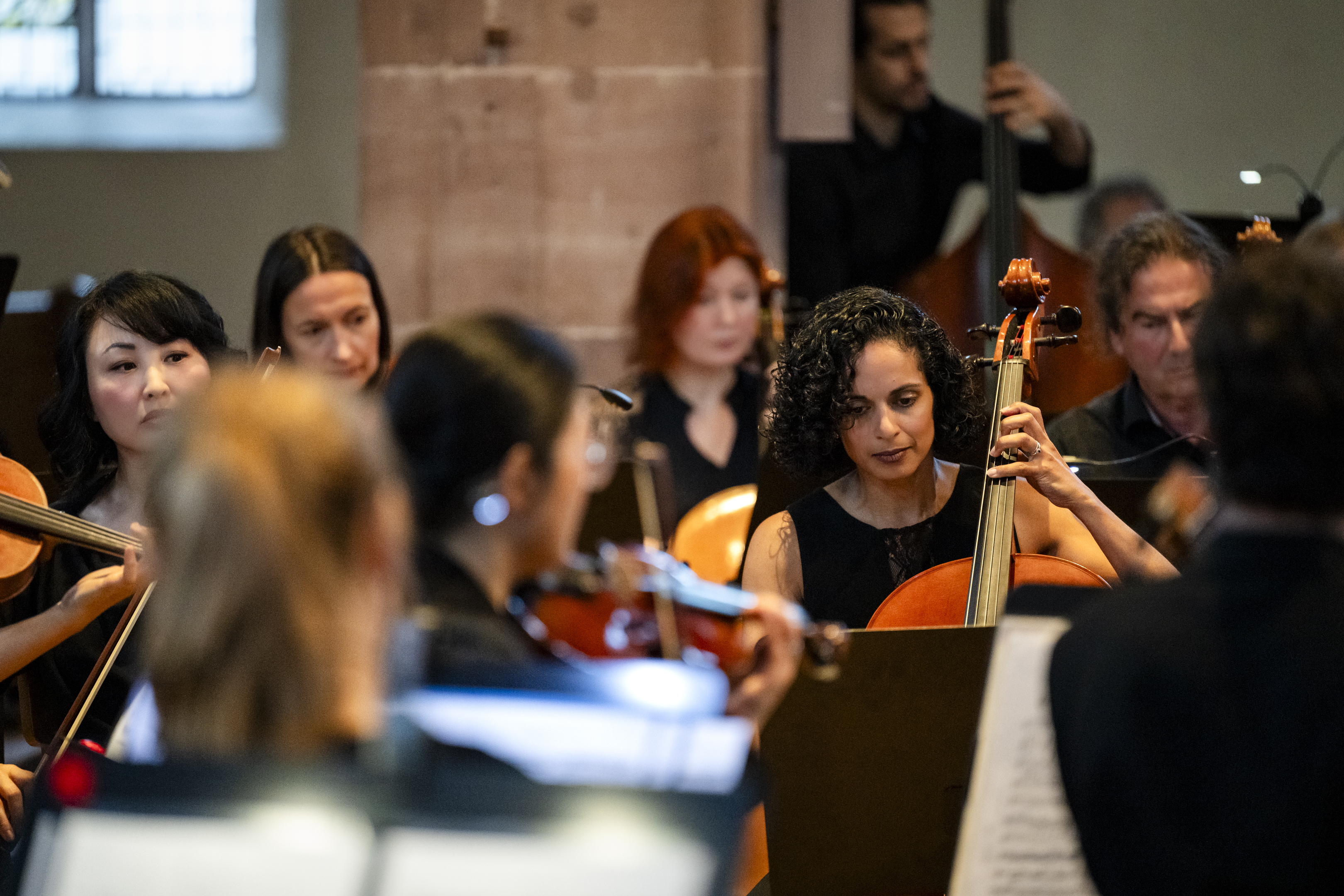 Classical Orchestra Roche - Orchestra board