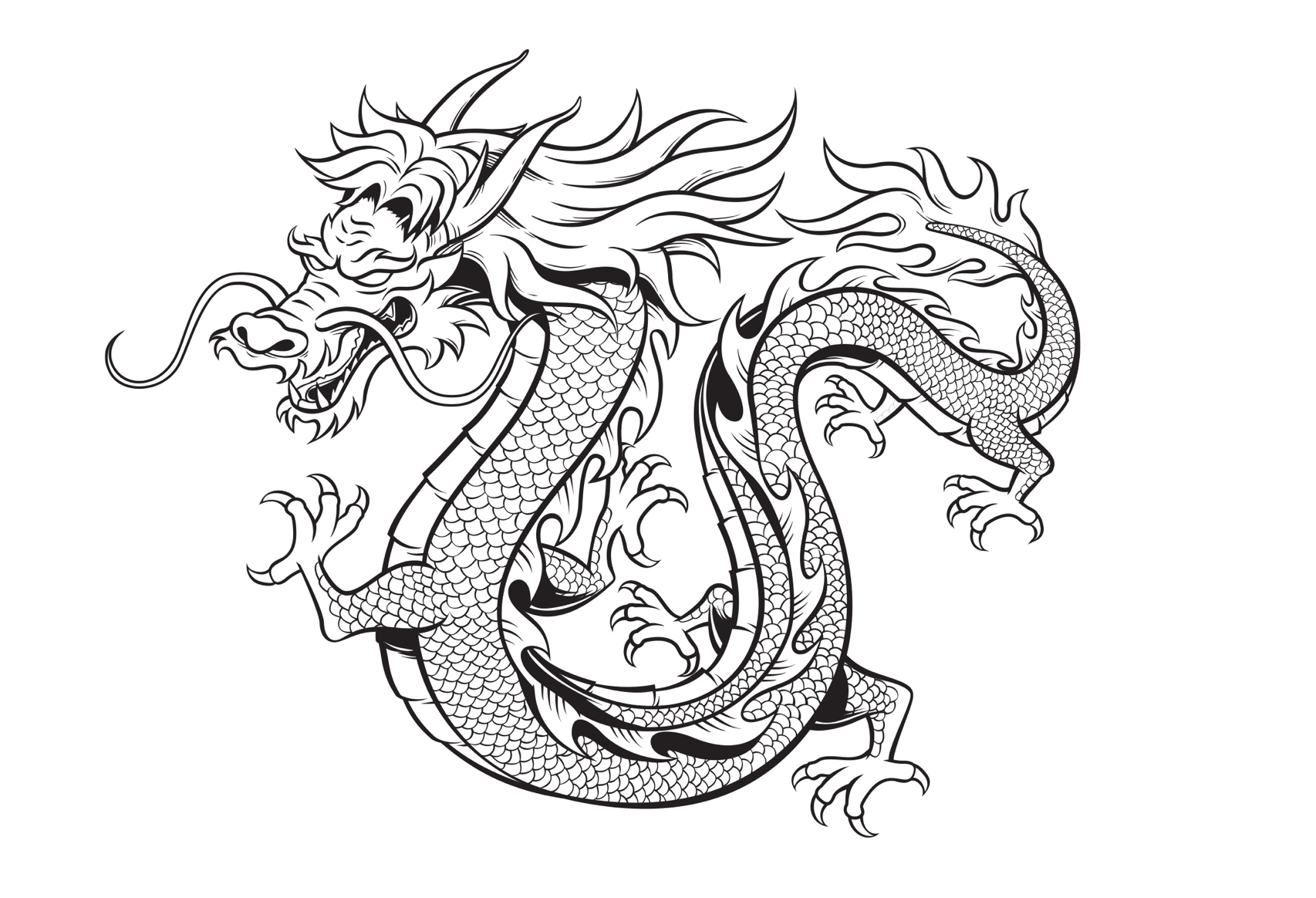 Mullet Dragon - shows