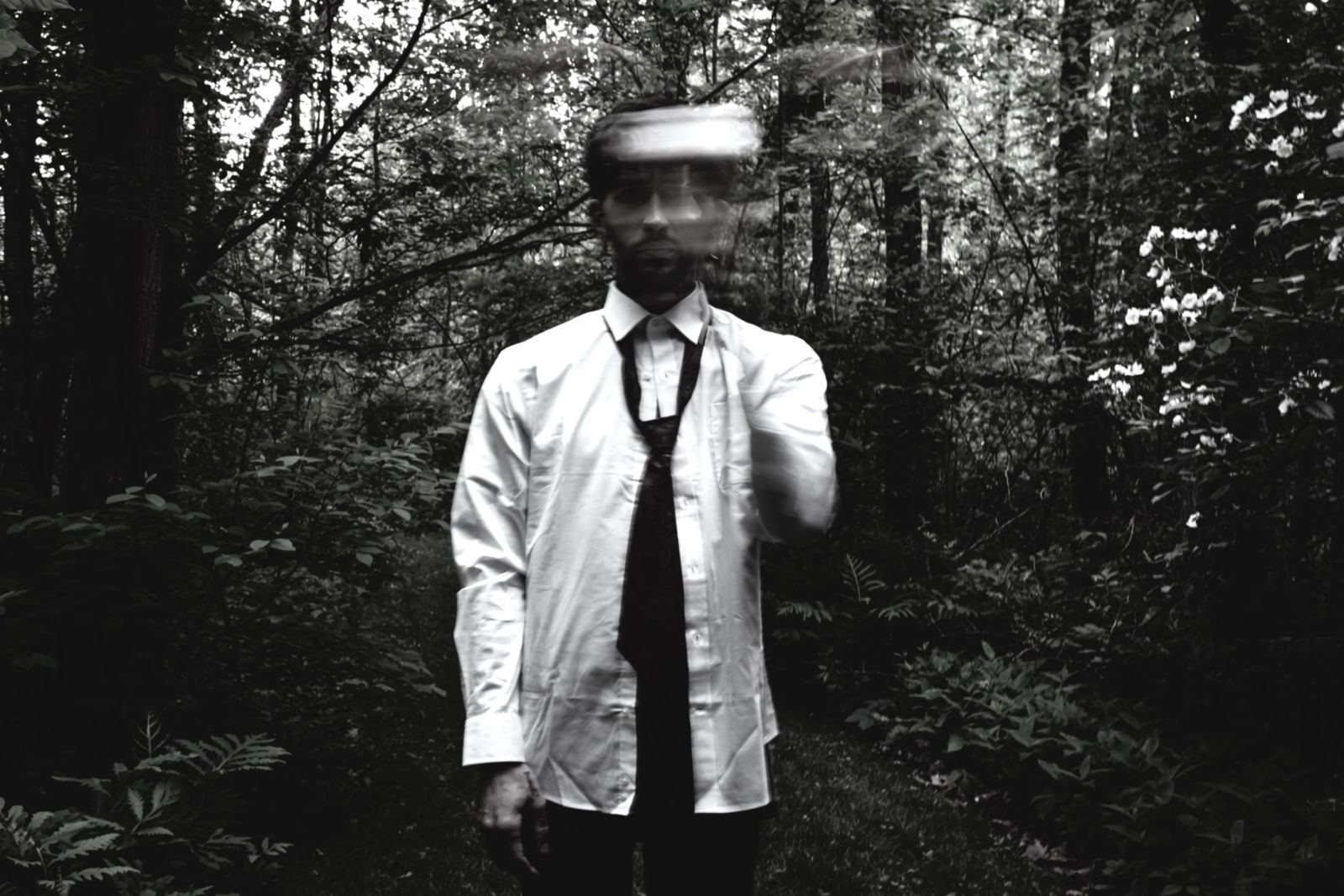 Divine Fallacy - Store