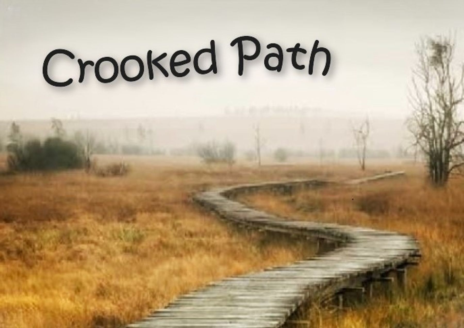 CROOKED PATH - socials