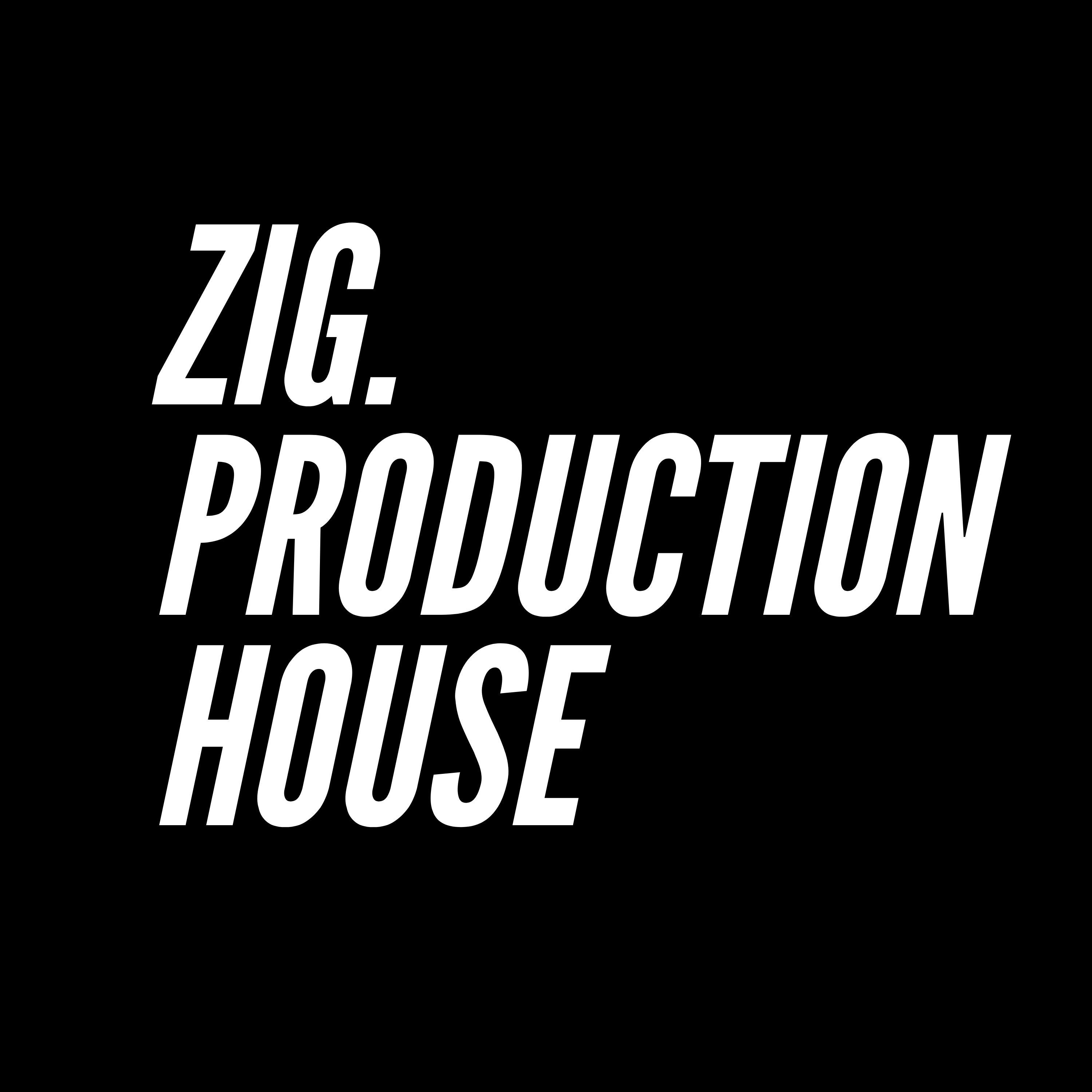 ZIG PRODUCTION HOUSE