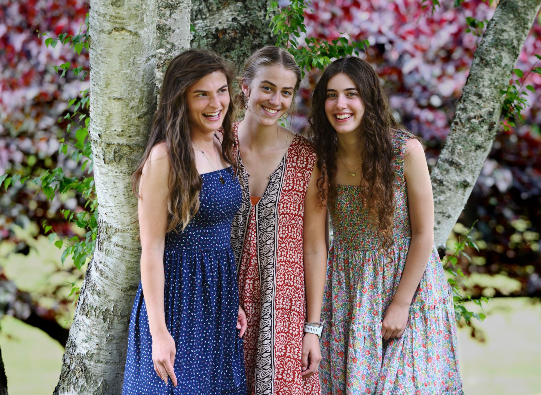 The Wilder Flower - Bio