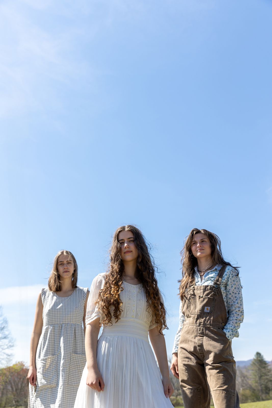 The Wilder Flower - Photos