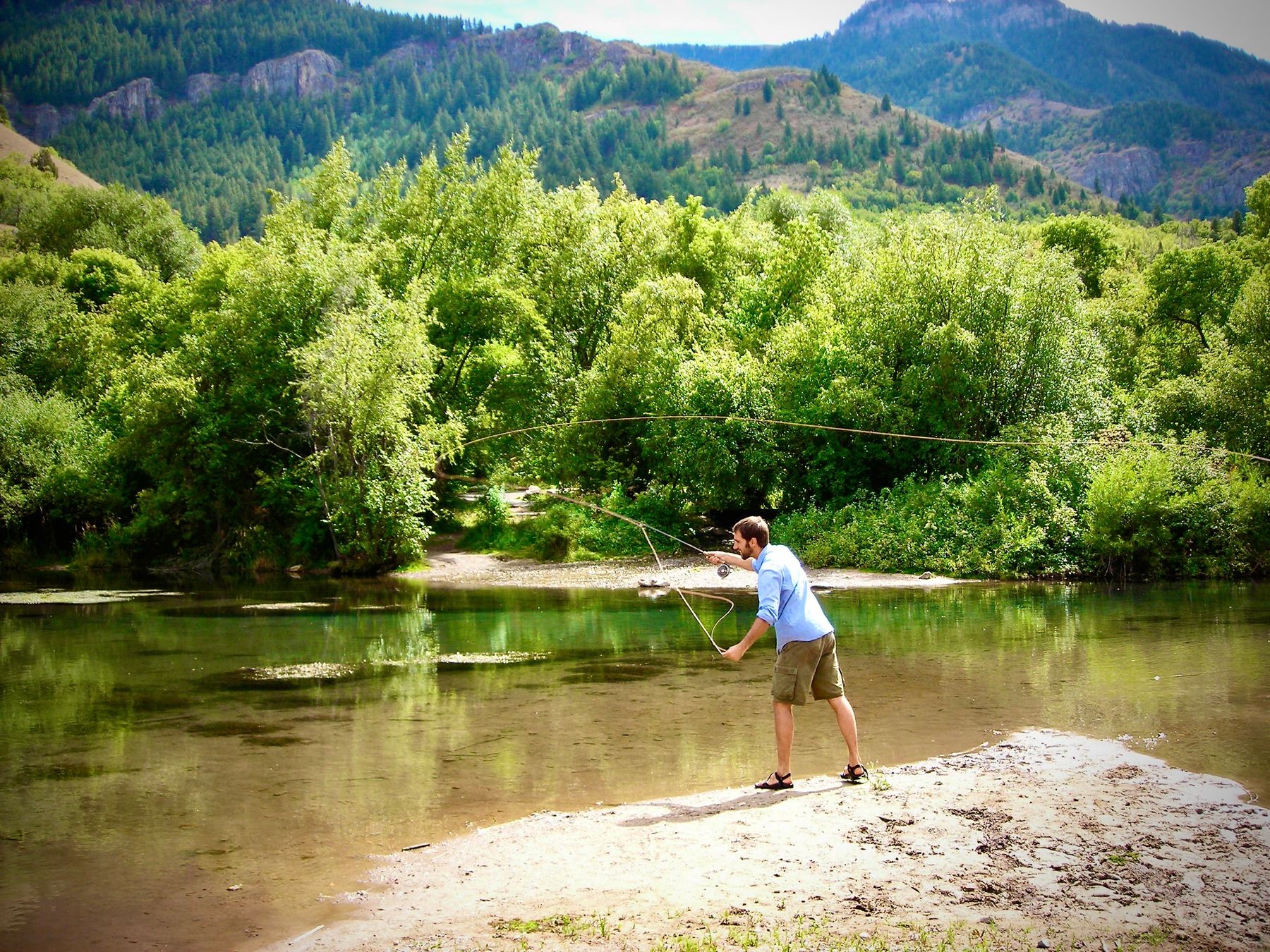 Brian Cardall - American Scientist