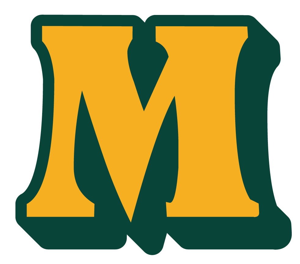 Matt Rouch & The Noise Upstairs - Press