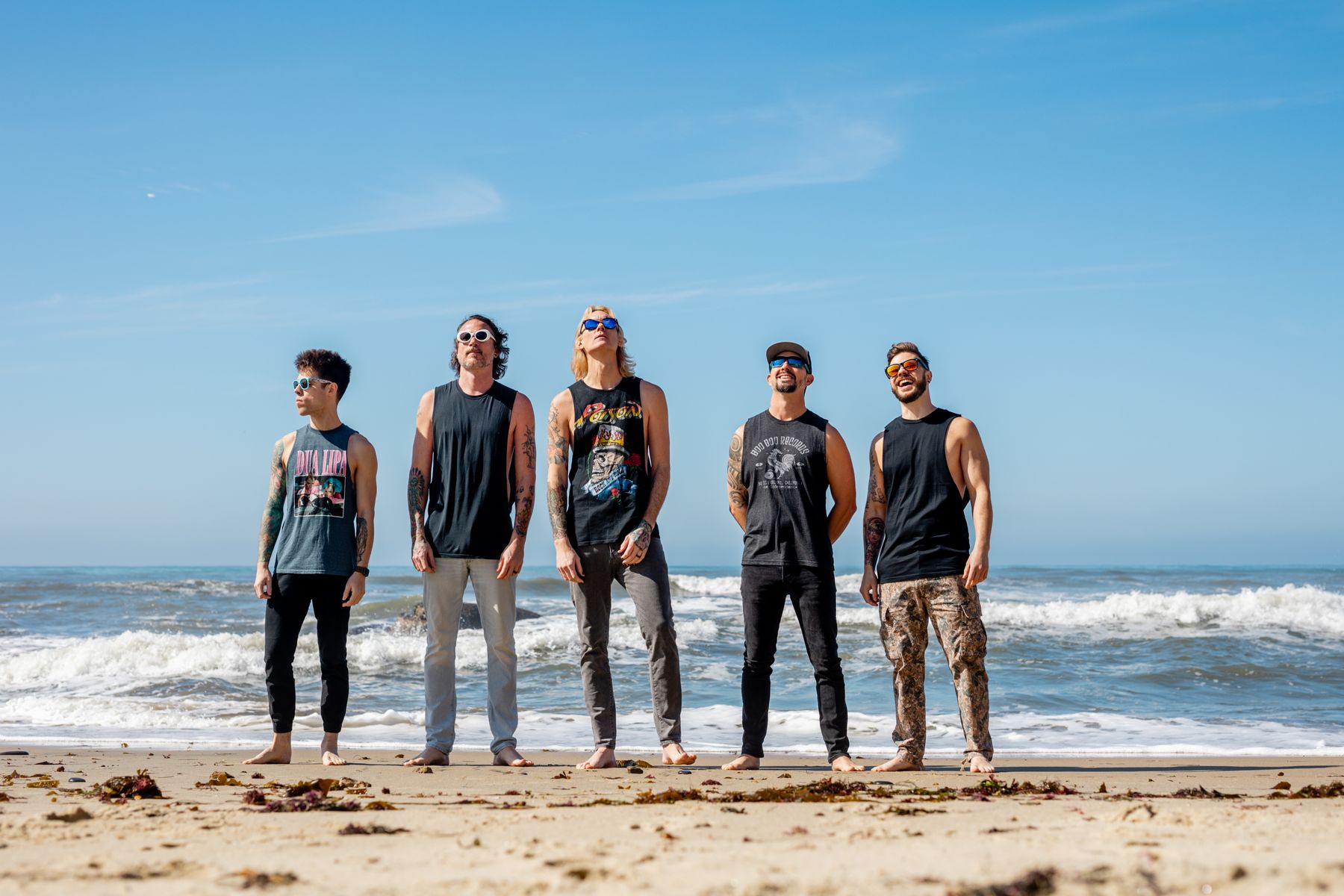 Ballyhoo! - #MarylandBeachRock