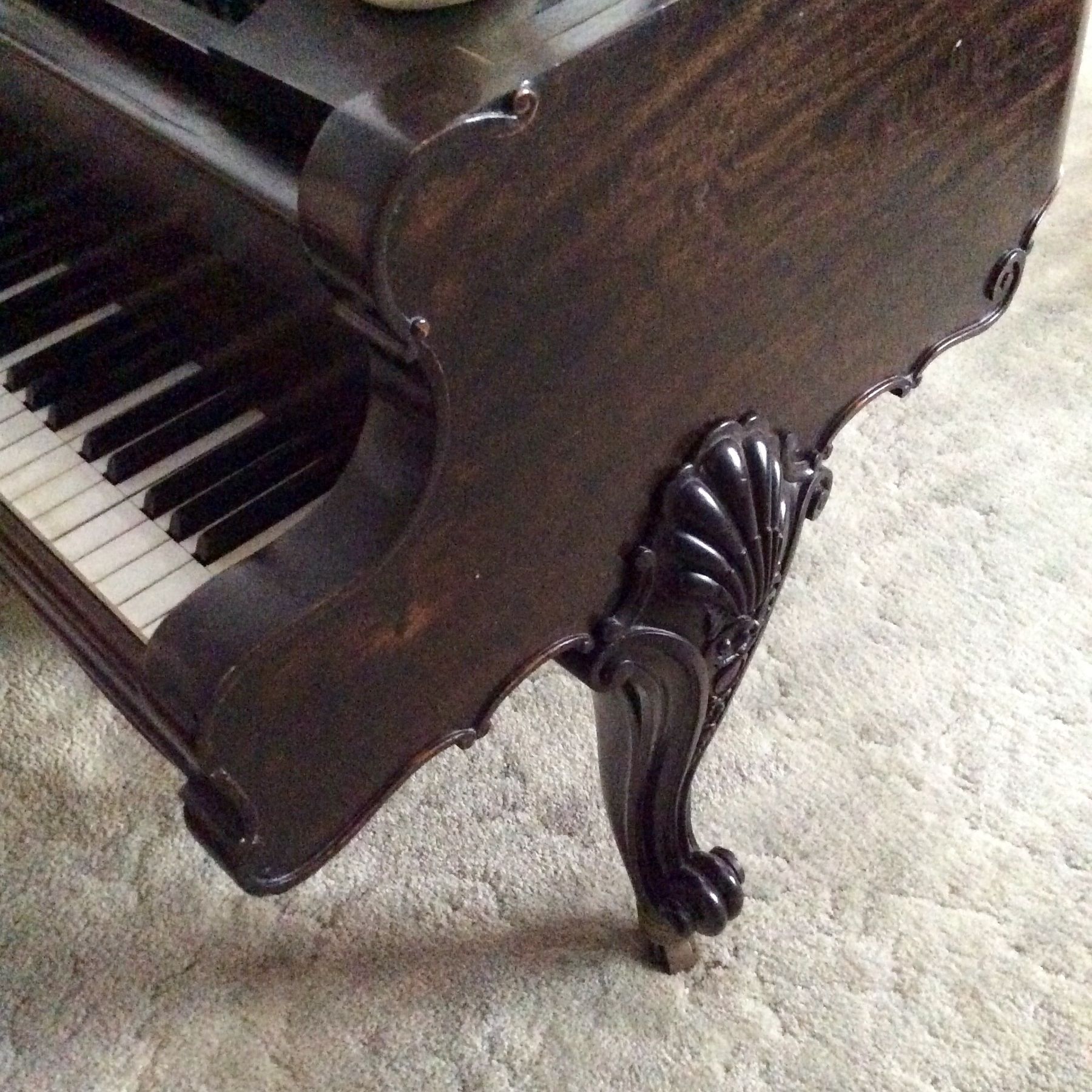 Loren DiGiorgi - About