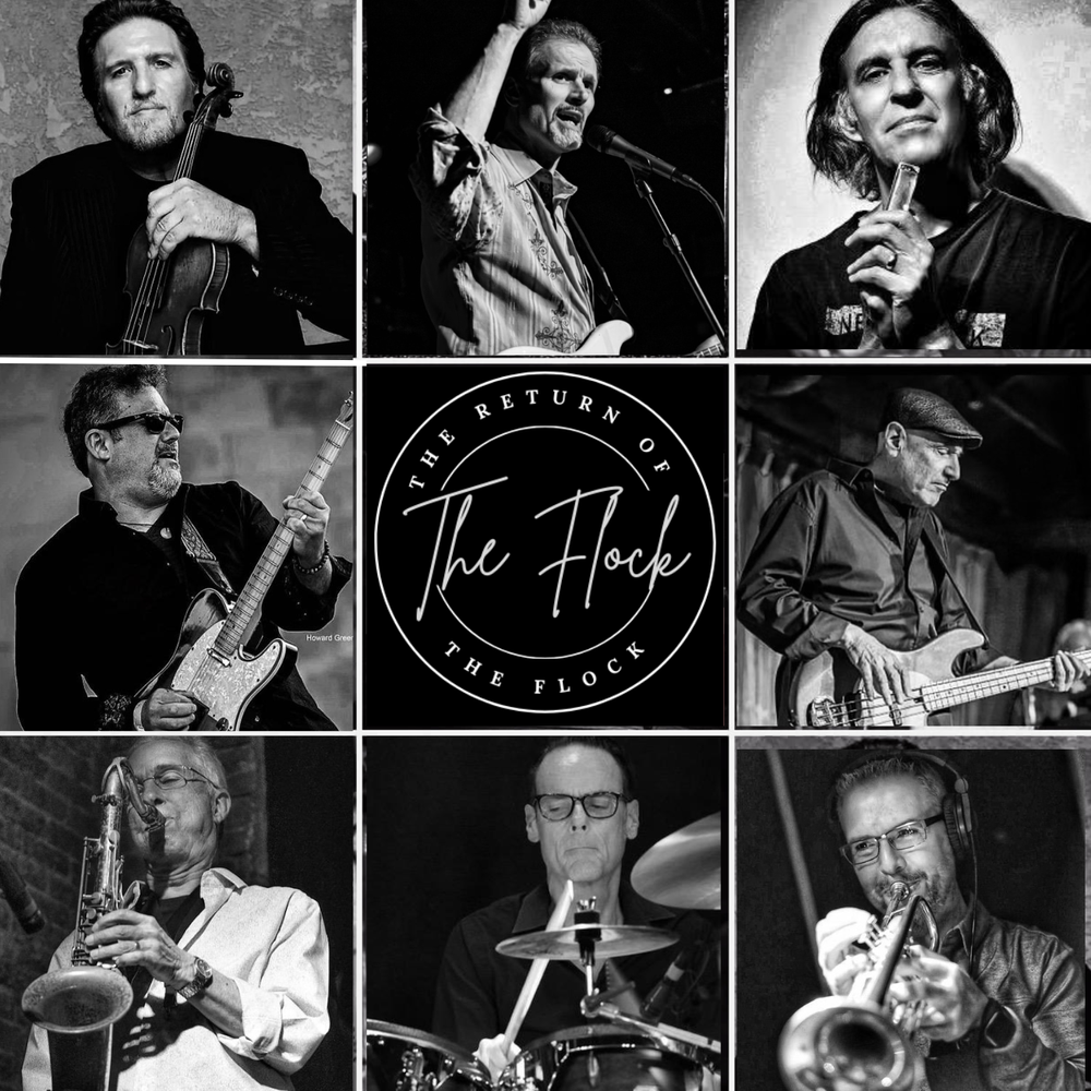 North Shore Artists - The Return Of The Flock