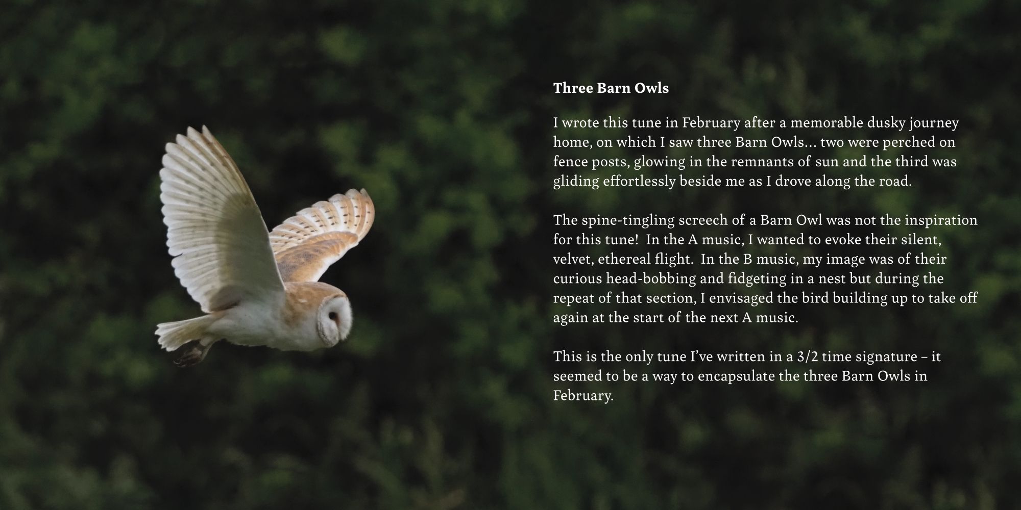 Miranda Rutter - Bird Tunes