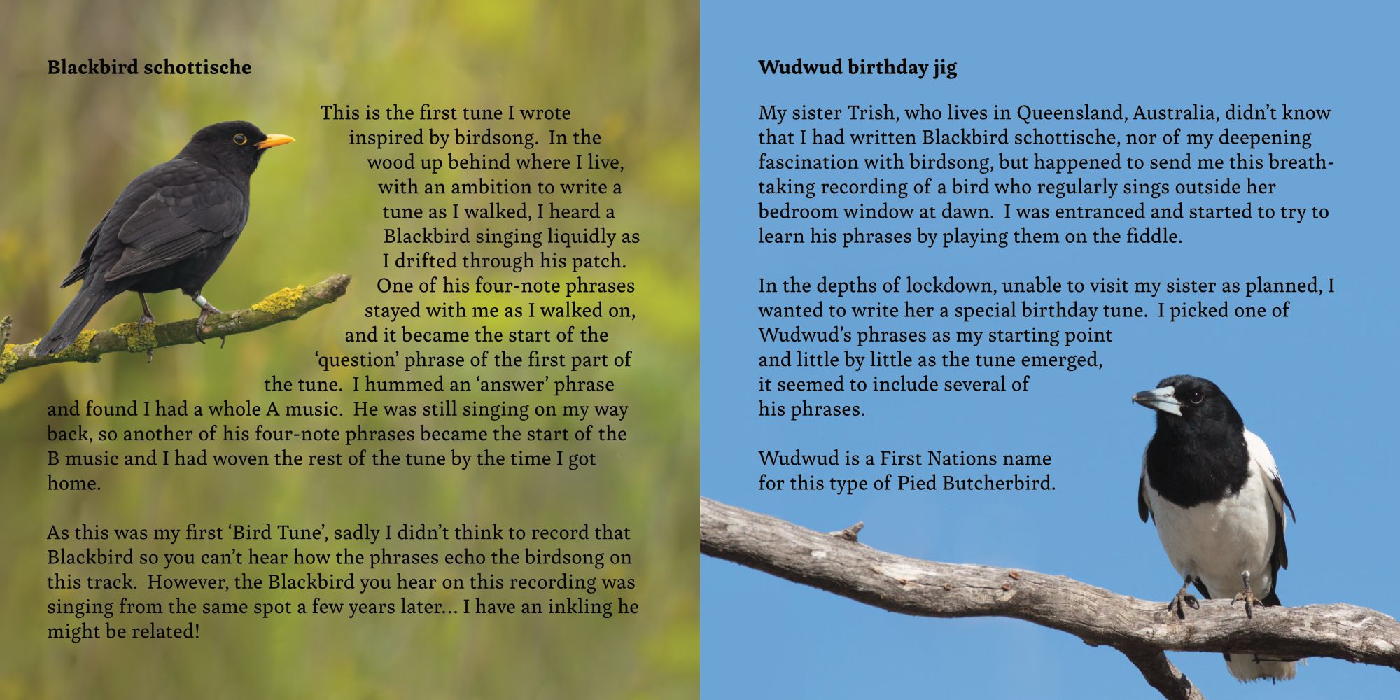 Miranda Rutter - Bird Tunes