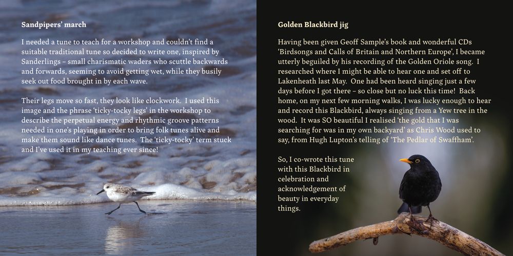 Miranda Rutter - Bird Tunes