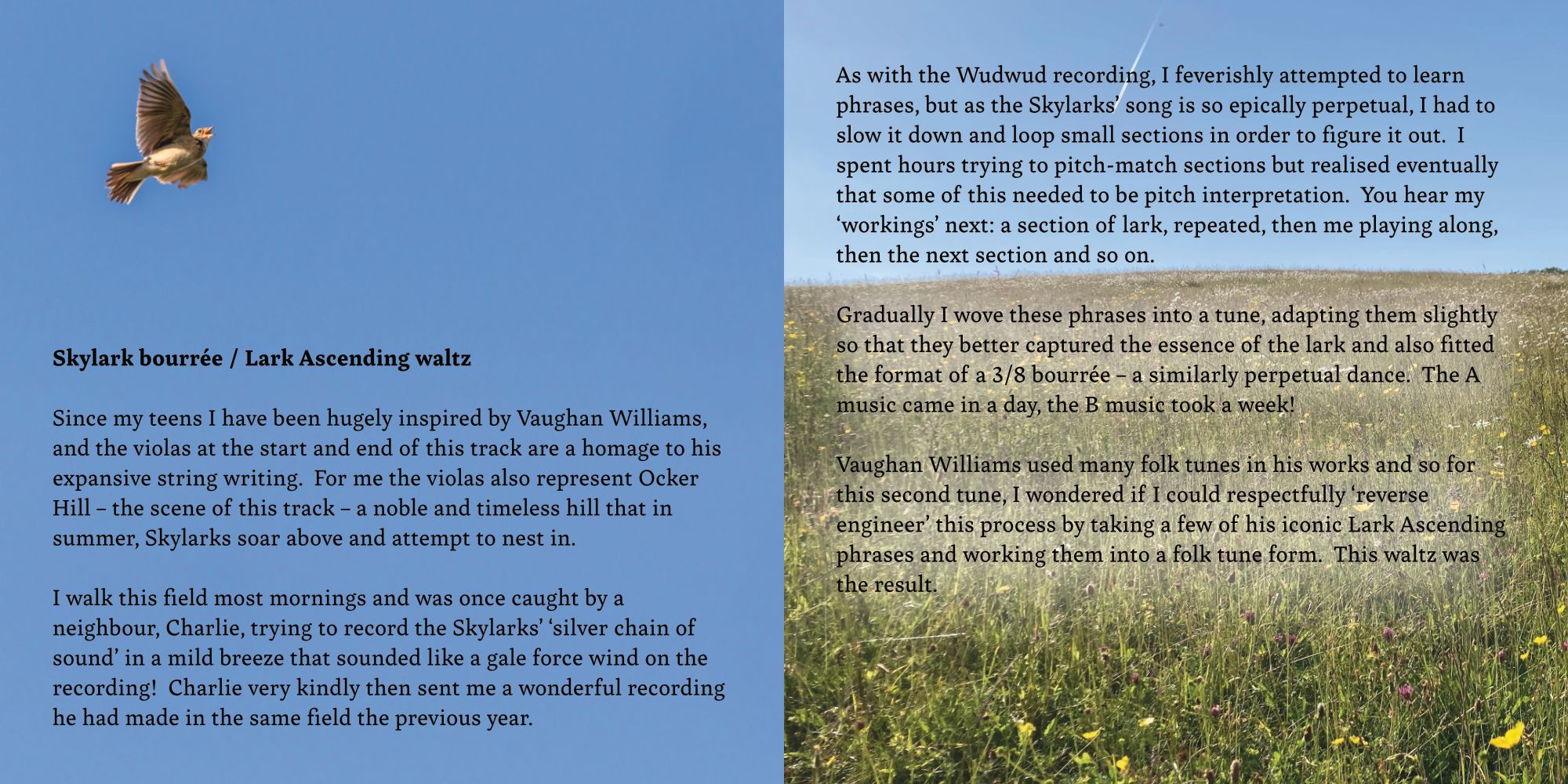 Miranda Rutter - Bird Tunes