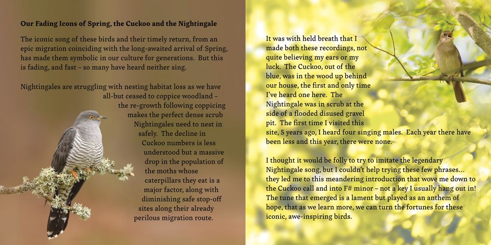 Miranda Rutter - Bird Tunes