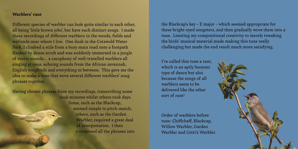 Miranda Rutter - Bird Tunes