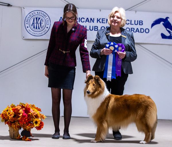 Riverrun Collies - In the Spotlight