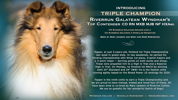 Riverrun Collies