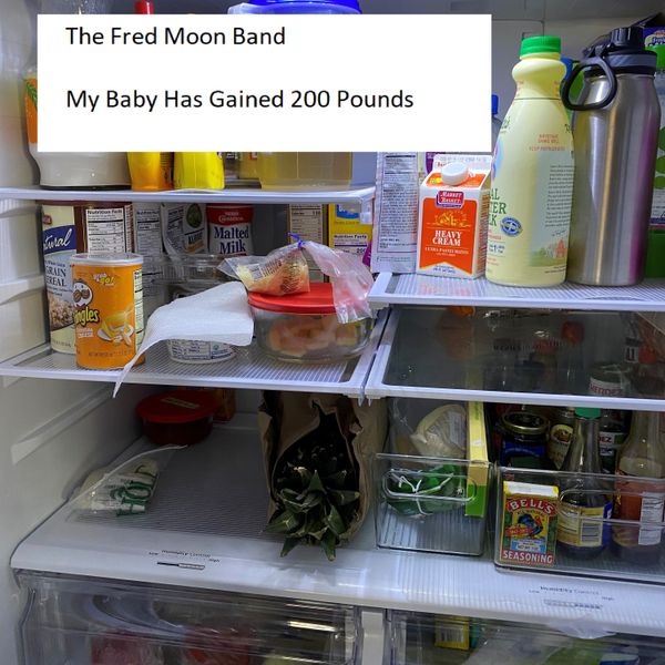 The Fred Moon Band
