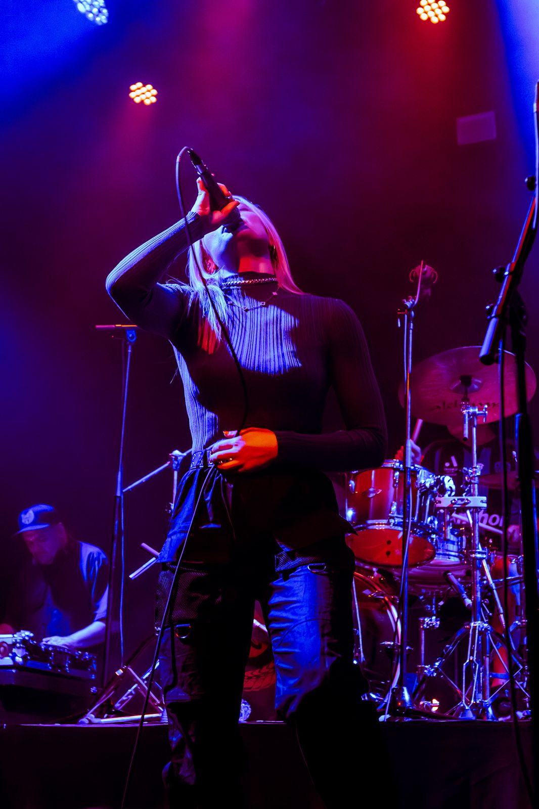 TADPOLE | New Zealand Rock Band