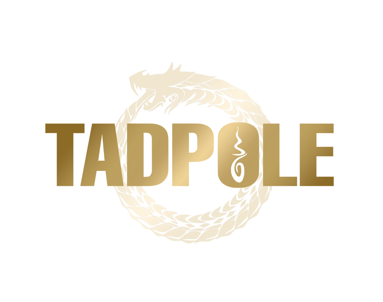 TADPOLE | New Zealand Rock Band