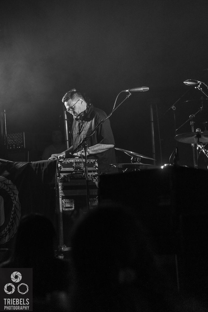 Tadpole - New Zealand Rock Band