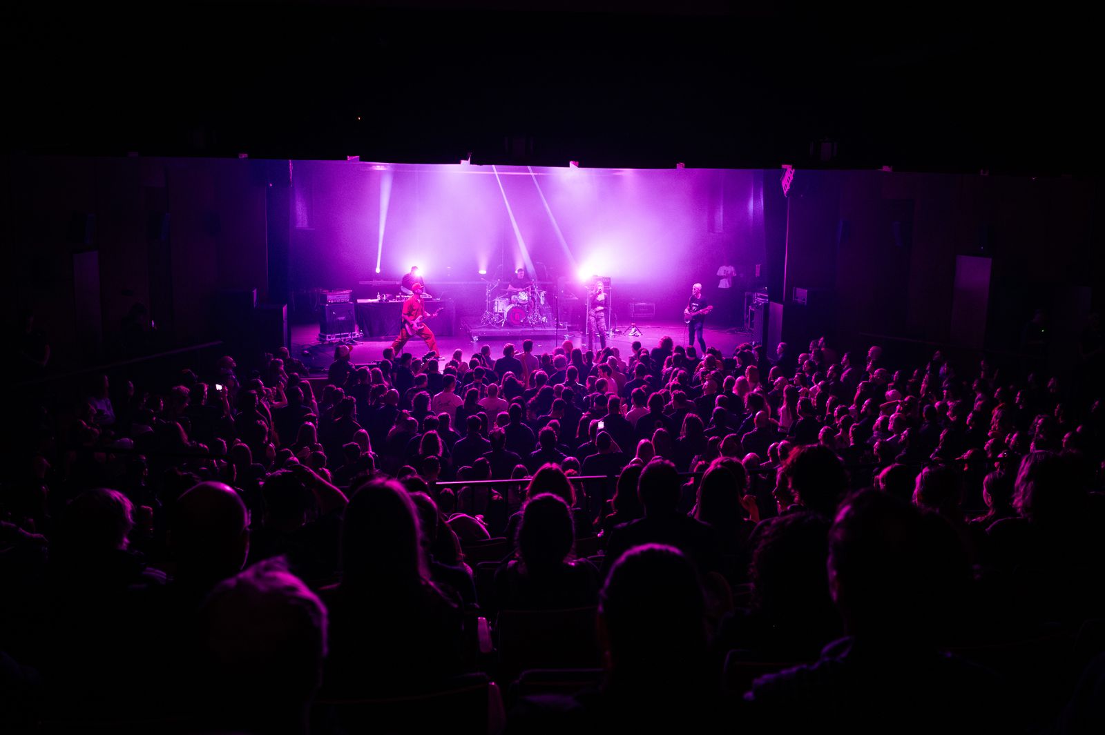 TADPOLE | New Zealand Rock Band