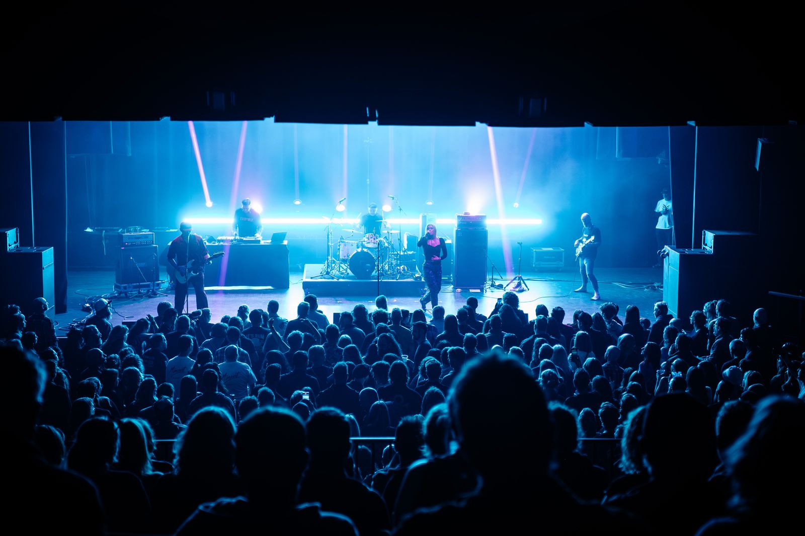 TADPOLE | New Zealand Rock Band